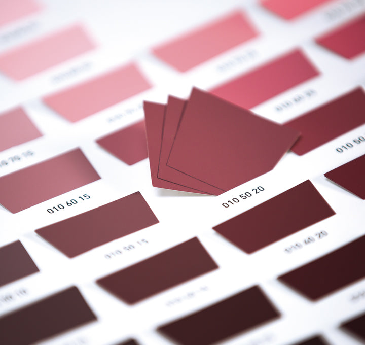 RAL D3 COLOR – Carta RAL