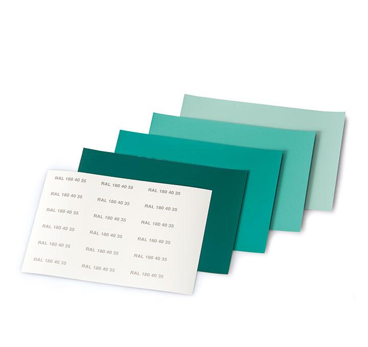 RAL D6 COLOR – Carta RAL